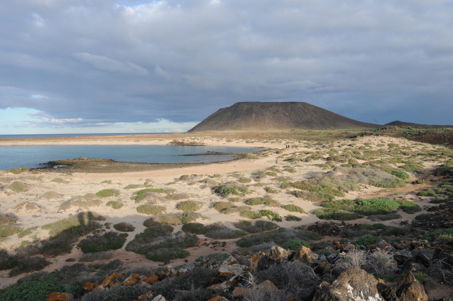 MUNA- Museo de Naturaleza y Arqueología – Museos de Tenerife